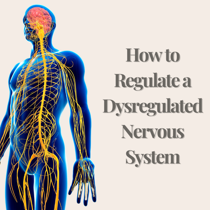 How to Regulate a Dysregulated Nervous System