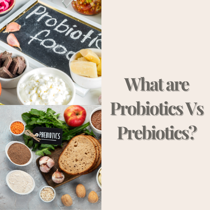 Probiotics vs Prebiotics – Perfect Supplements Australia